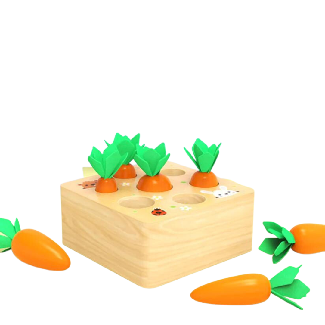 Monty Cotton Play Tunnel – Monty Toy Store